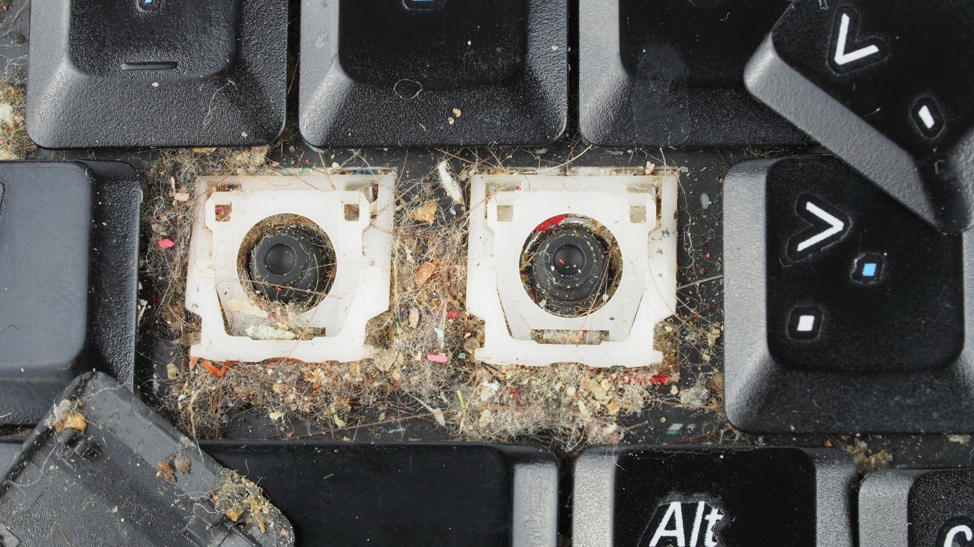 Awas Keliru! Ini Cara Membersihkan Keyboard Laptop yang Tepat
