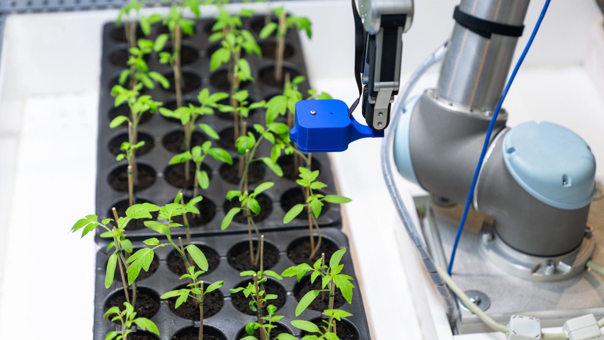 Simak! Begini Robot Pertanian Mengubah Cara Bercocok Tanam