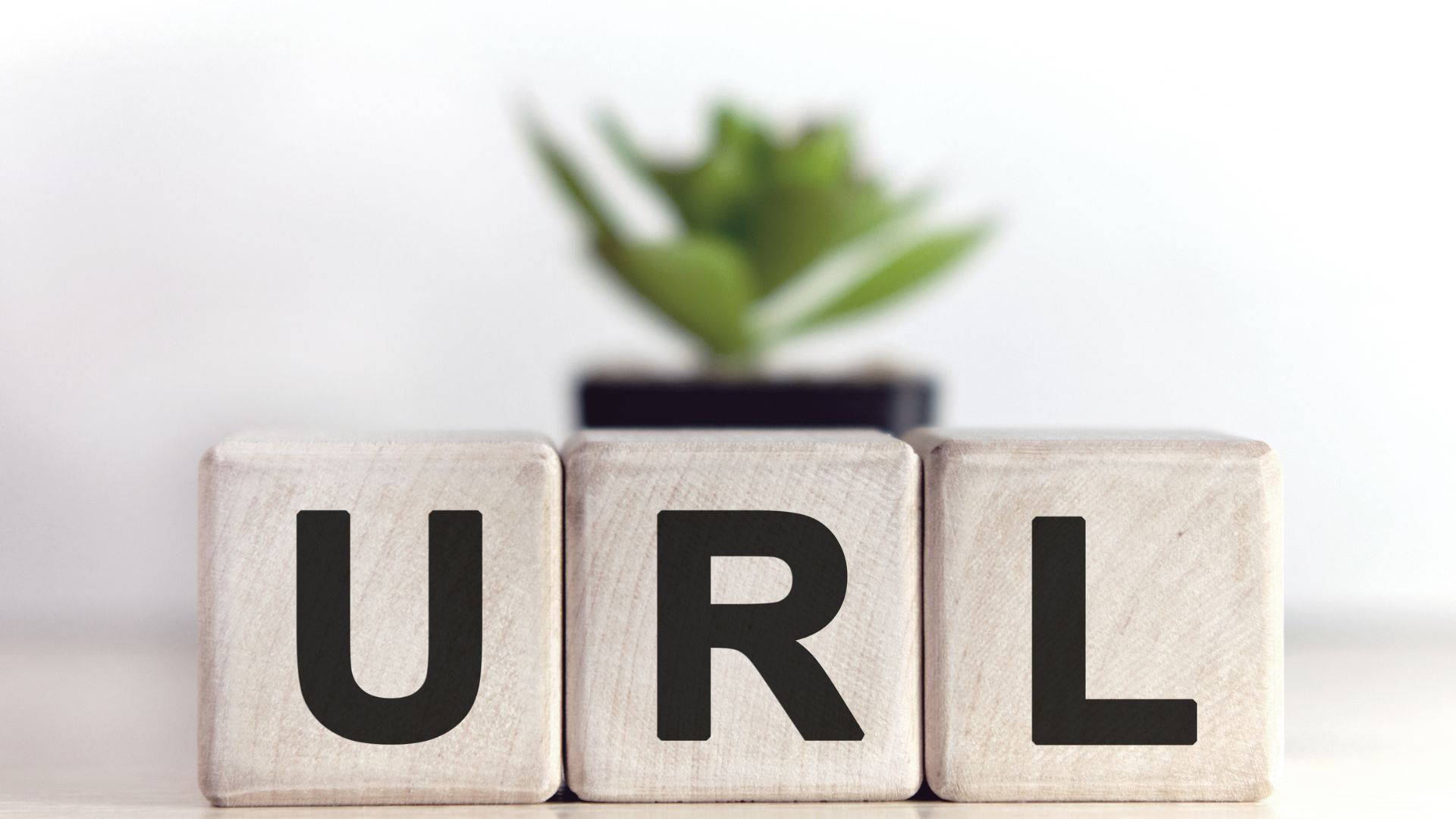 Cara Membuat URL Gambar SEO Friendly untuk Tingkatkan Peringkat Website